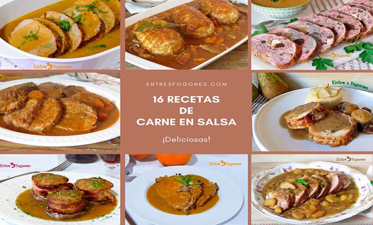16 Recetas de Carne en Salsa