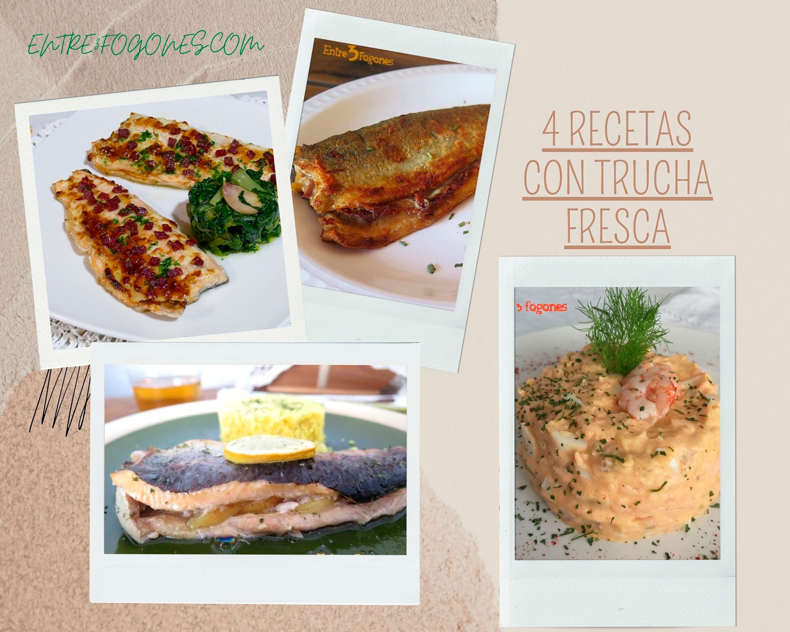 4 Recetas Deliciosas con Trucha Fresca